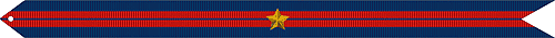 MILITARY GUIDON, CAMPAIGN, BATTLE, and CUSTOM STREAMERS - RICHARD R ...