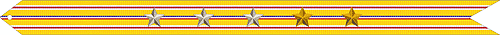 MILITARY GUIDON, CAMPAIGN, BATTLE, and CUSTOM STREAMERS - RICHARD R ...